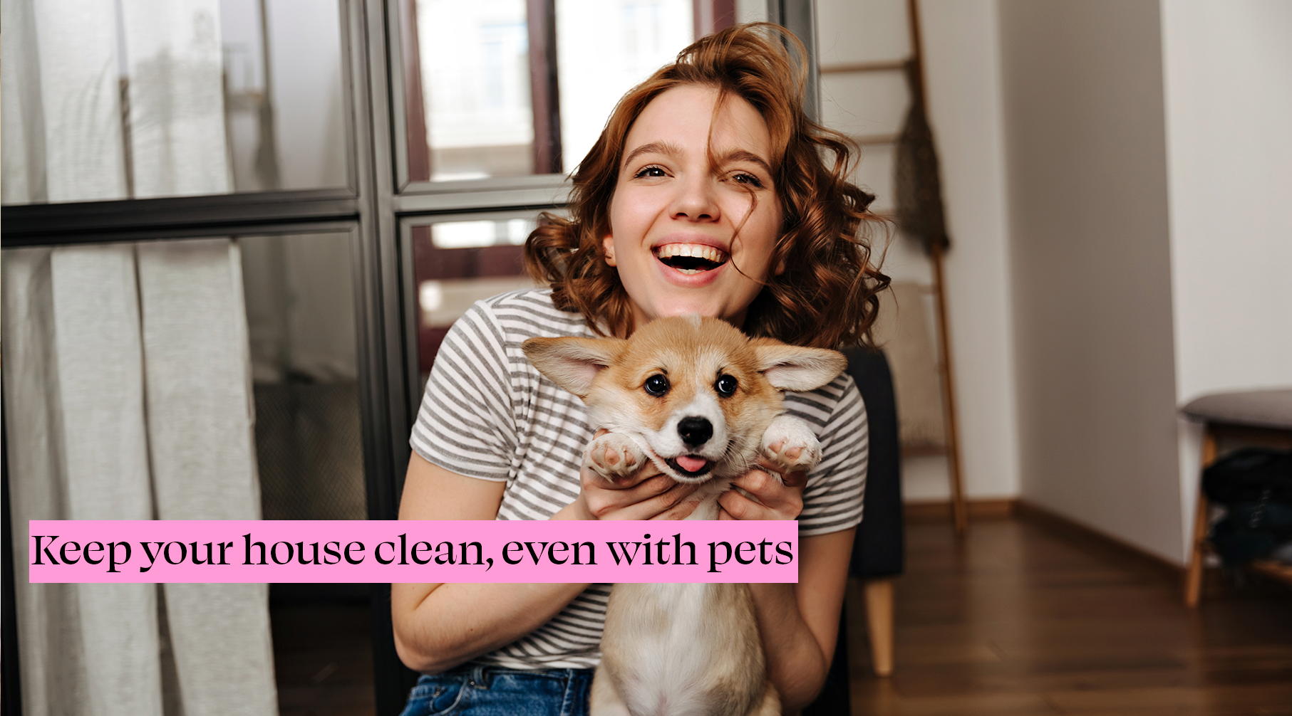 Keep your house clean, even with pets - Leticia's First Class Cleaning