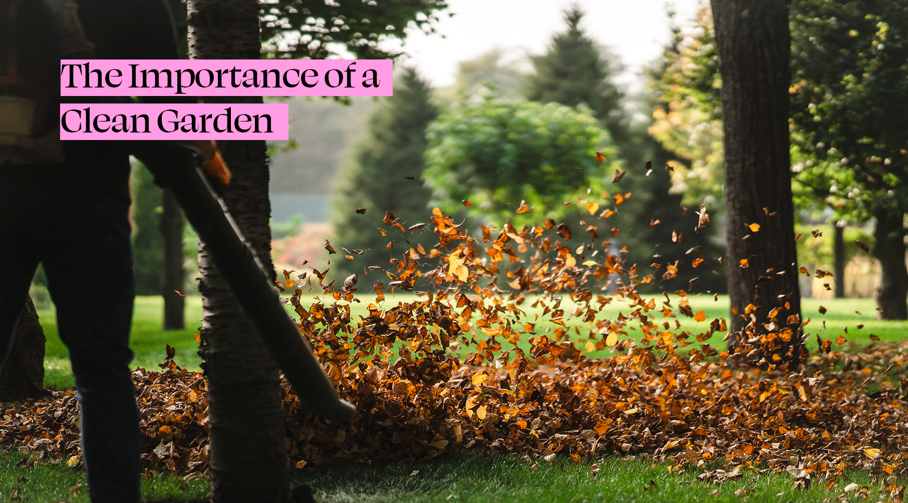 The Importance of a Clean Garden - Leticia's First Class Cleaning
